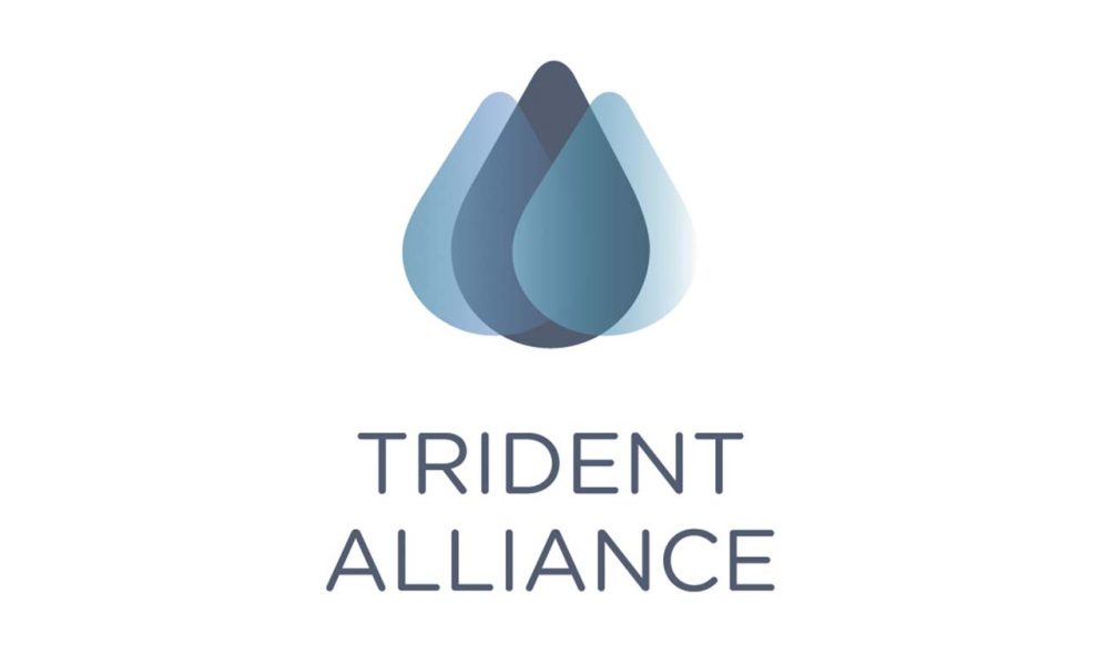 Trident Alliance welcomes CSL Group and Oldendorff Carriers | Manifold ...