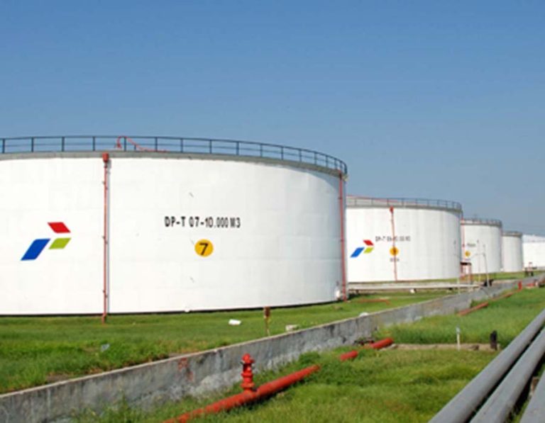 Indonesia introduces B35 biofuel blend to all fuel terminals, targets ...