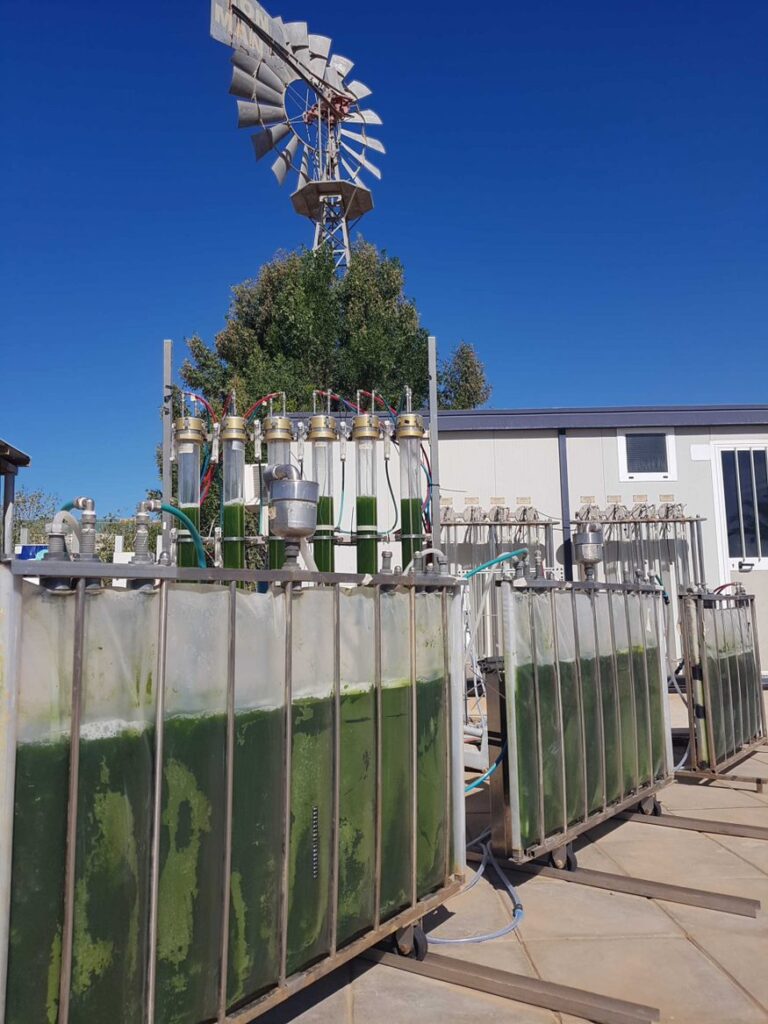 UK-Malaysian biotech firm HutanBio to scale bio bunker fuels for ...